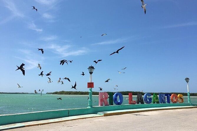 Las Coloradas Amazing Pink Lake & Rio Lagartos from Tulum - The Salt Production Insight