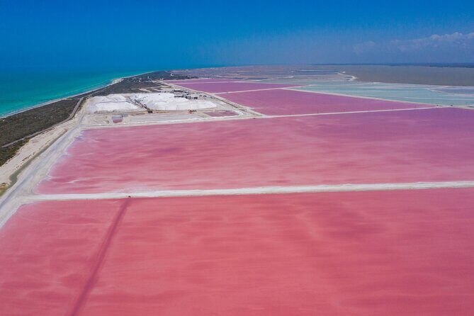 Las Coloradas Amazing Pink Lake & Rio Lagartos from Tulum - Lunch and Rest