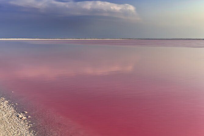 Las Coloradas Amazing Pink Lake & Rio Lagartos from Tulum - Optional: Mayan Mud Bath