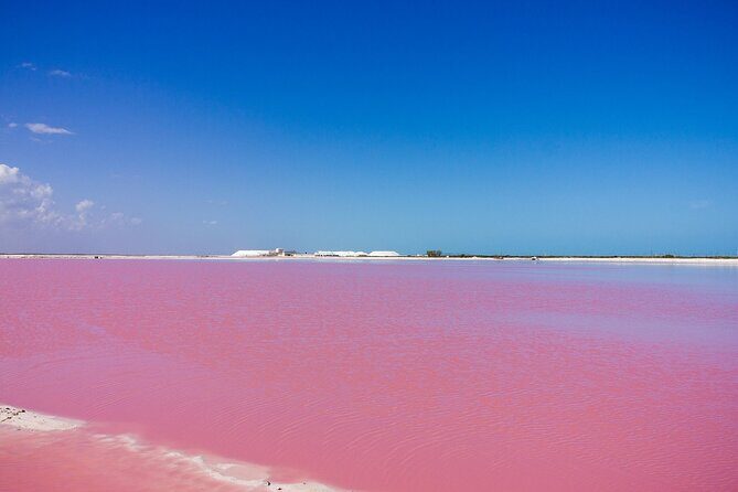 Las Coloradas Amazing Pink Lake & Rio Lagartos from Tulum - Practical Tips for the Tour
