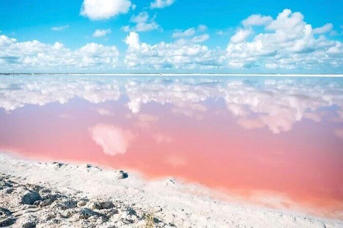 Las Coloradas and Rio Lagartos Day Tour from Cancun - Why This Tour Is a Great Choice