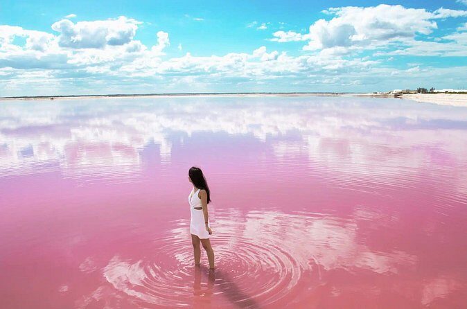 Las Coloradas and Rio Lagartos only from Merida - Who Should Consider This Tour?