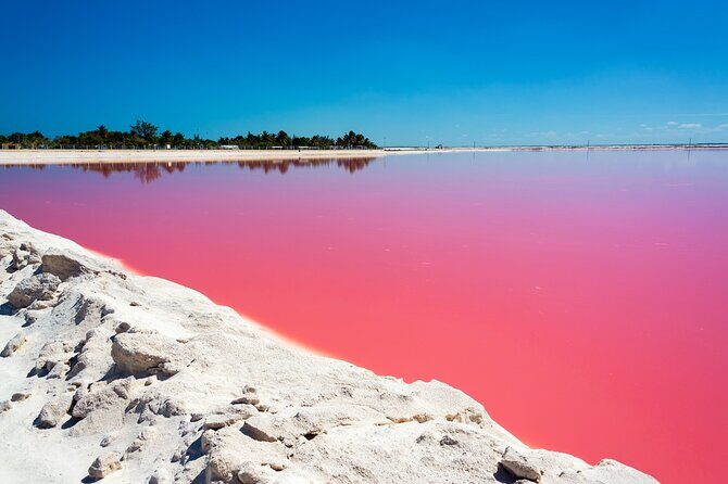 Las Coloradas and Rio Lagartos Tour with All Inclusive - Final Thoughts