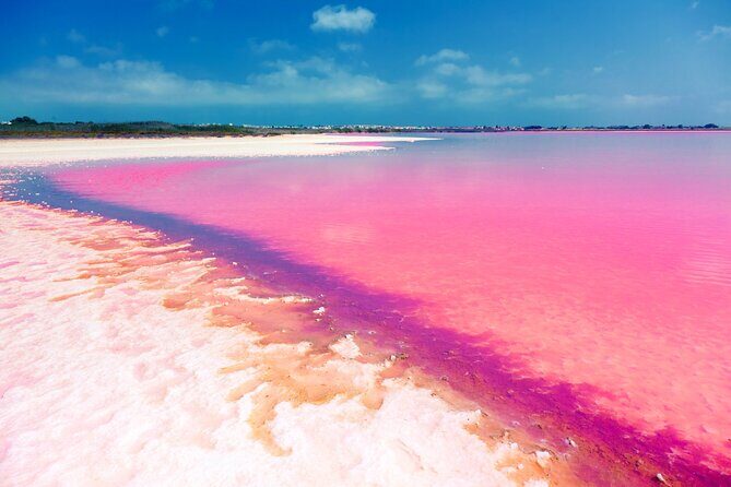Las Coloradas and Rio Lagartos Tour with All Inclusive - FAQ