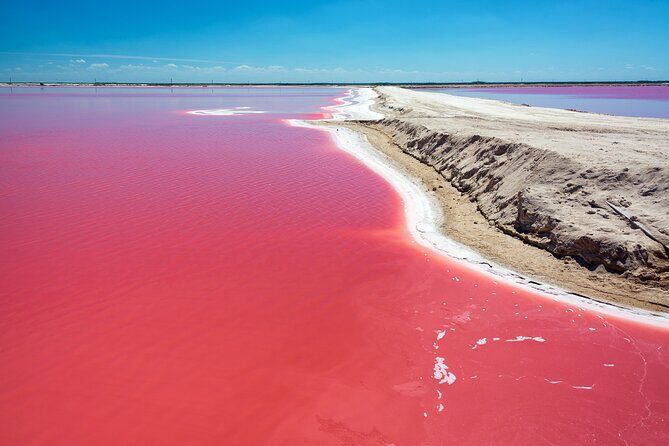 Las Coloradas Pink Lake & Rio Lagartos Guided Tour - Introduction