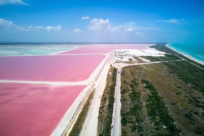 Las Coloradas Pink Lake & Rio Lagartos Guided Tour - The Practical Side: Logistics and Tips