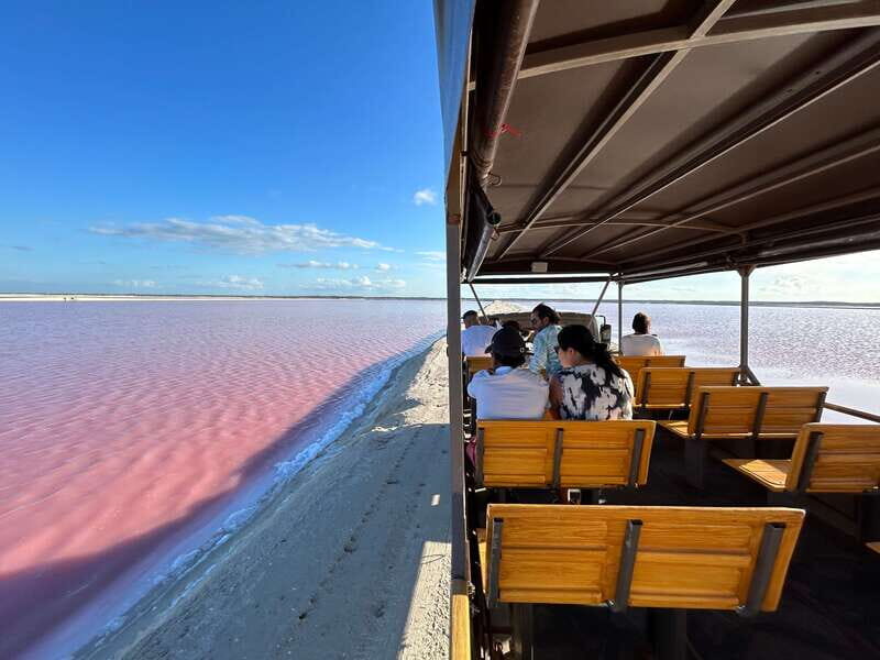 Las Coloradas: Pink Lakes Safari Tour - Key Points