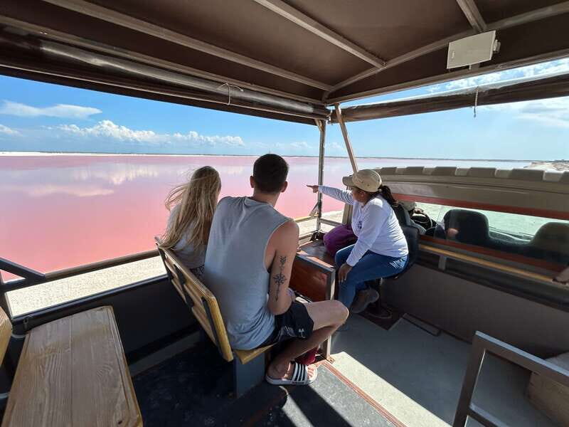 Las Coloradas: Pink Lakes Safari Tour - The Pink Waters of Las Coloradas