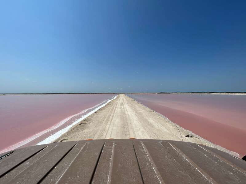 Las Coloradas: Pink Lakes Safari Tour - The Sum Up