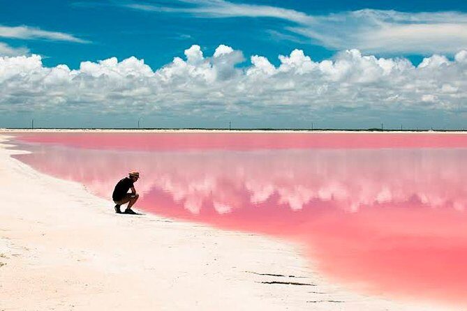 Las Coloradas & Rio Lagartos, Beautiful Eco Adventure from Tulum City - Authentic Experiences & Real Insights