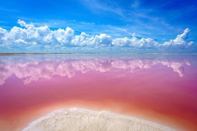 Las Coloradas & Rio Lagartos, Beautiful Eco Adventure from Tulum City - The Value Proposition