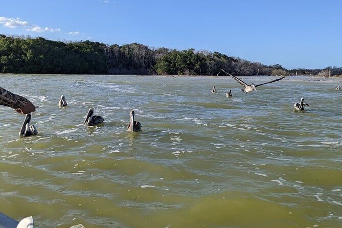 Las Coloradas Tour! Boat Ride, Lunch & Rio Lagartos from Cancun - Practicalities and Tips