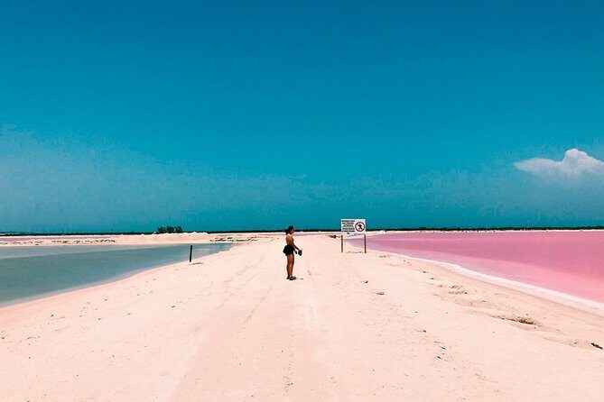 Las Coloradas Tour! Boat Ride, Lunch & Rio Lagartos from Cancun - The Sum Up: Who Is This Tour For?