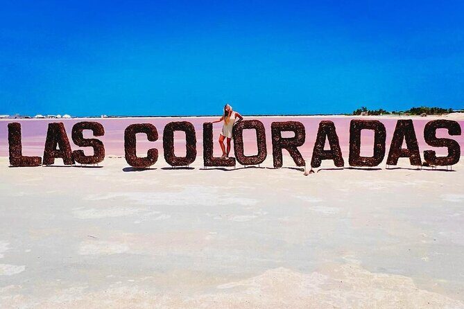 Las Coloradas Tour to Pink Lakes and Wildlife Wonders - Authentic Experiences from Reviews  
