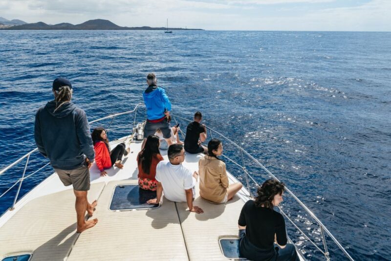 Las Galletas: Whale & Dolphin Tour with Local Skipper - Who Will Enjoy This Tour?