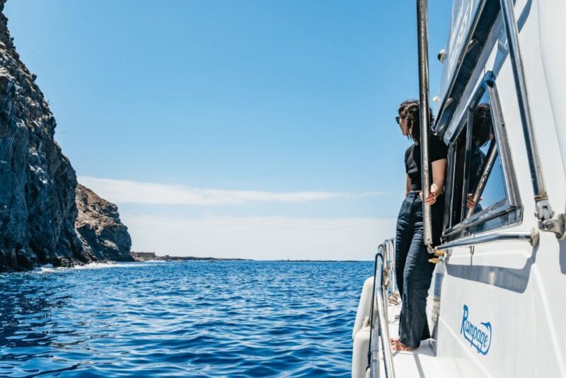 Las Galletas: Whale & Dolphin Tour with Local Skipper - FAQ