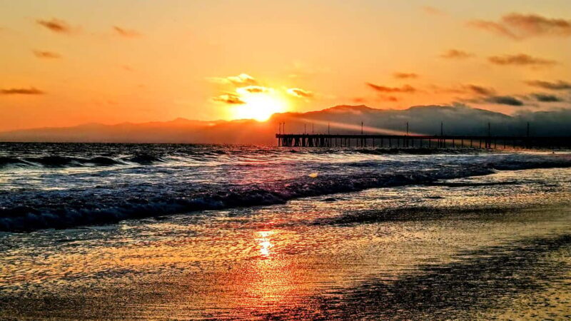 LA's Most Romantic Luxury Wine & Dine Boat Cruise & Sealions - FAQ