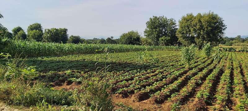 Las Nieves Monte Albán, Arrazola, Cuilapam 6h Bike Tour - Who Should Consider This Tour?
