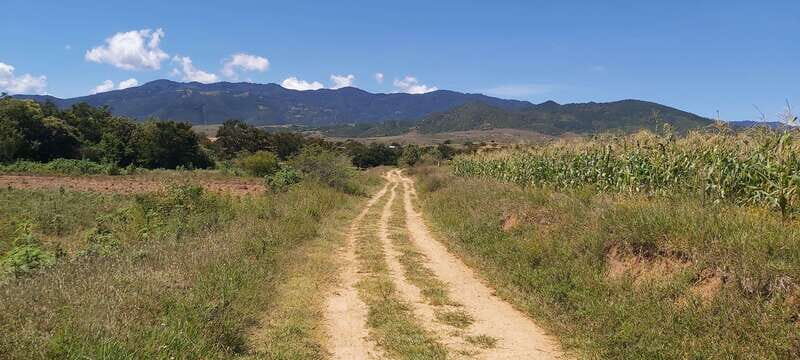 Las Nieves Monte Albán, Arrazola, Cuilapam 6h Bike Tour - The Sum Up