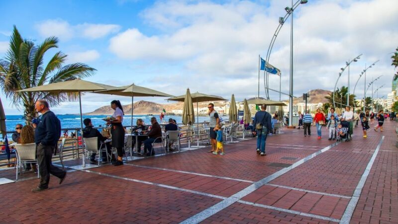 Las Palmas, Botanical Gardens and Bandama Volcano Tour - Who Will Love This Tour?