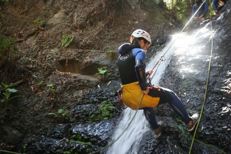 Las Palmas, Gran Canaria: Canyoning Adventure - Cost and Value