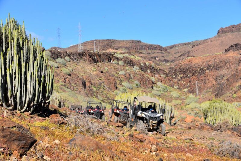 Las Palmas: Gran Canaria Guided Buggy Tour - Discovering Gran Canaria’s Rugged Side