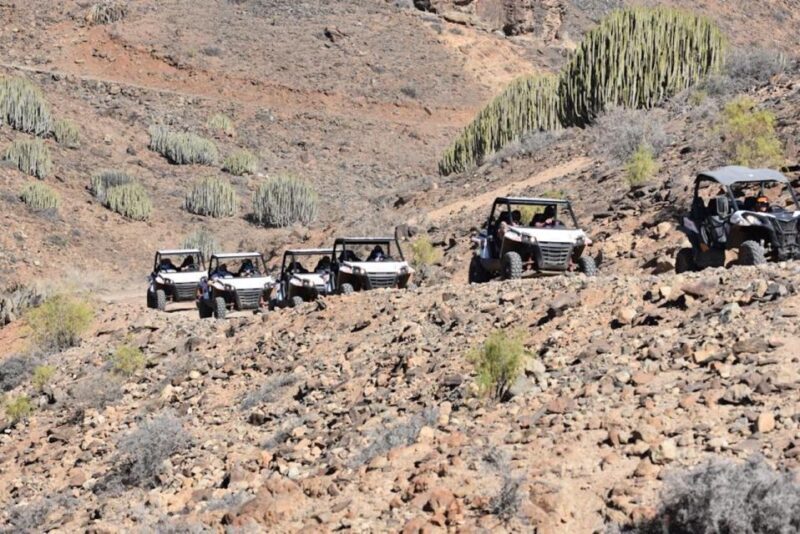 Las Palmas: Gran Canaria Guided Buggy Tour - What the Experience Feels Like