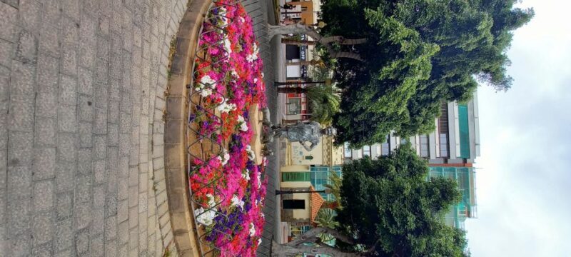 Las Palmas: Private City Highlights & Northern Villages Tour - Who This Tour Is Best For