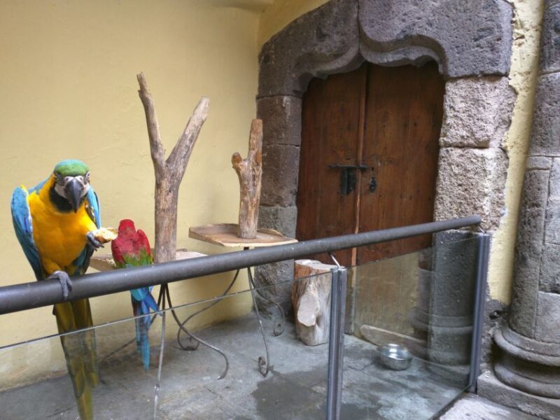 Las Palmas: Private Old City Guided Walking Tour with Tapas - Key Points