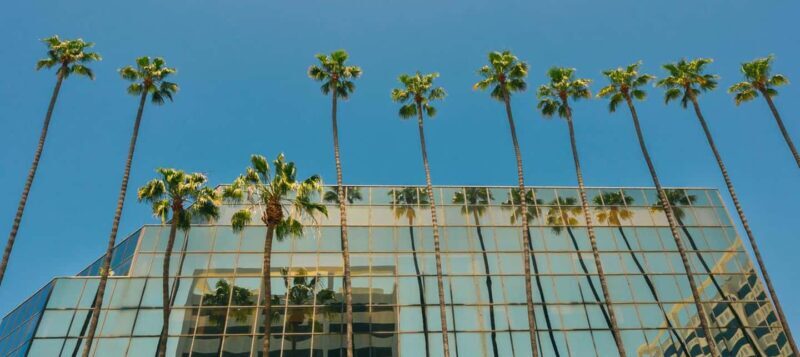 LAs Timeless Treasures: A Downtown Discovery Private Tour - Exploring Downtown LA Through a Private Lens