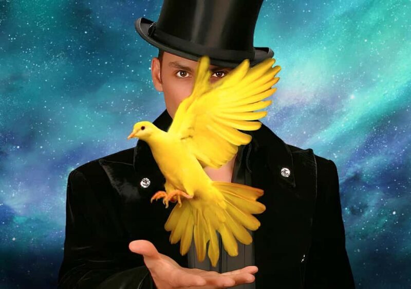 Las Vegas: Allstars Of Magic - Why This Show Is Worth Considering