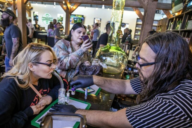 Las Vegas: Cannabis Tour with Weed Lounge & Party Bus - Key Points
