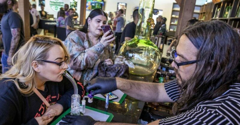 Las Vegas: Cannabis Tour with Weed Lounge & Party Bus - What to Expect from the Las Vegas Cannabis Tour