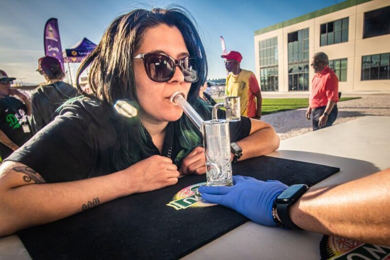 Las Vegas: Cannabis Tour with Weed Lounge & Party Bus - Who Should Consider This Tour?