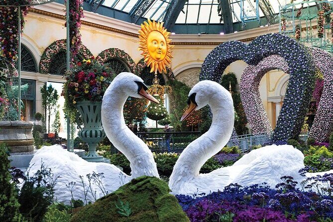 Las Vegas City Tour Street Experience - Practical Details: What You Need to Know