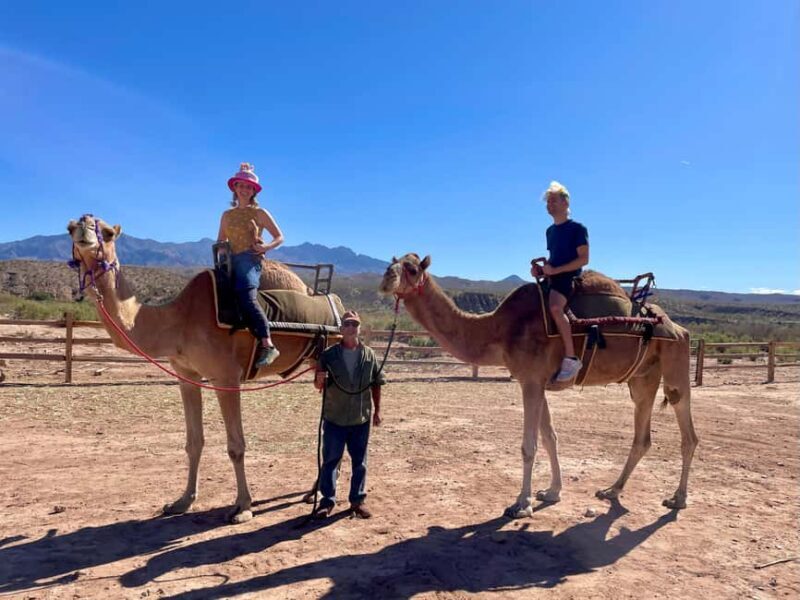 Las Vegas: Desert Camel Ride - FAQ