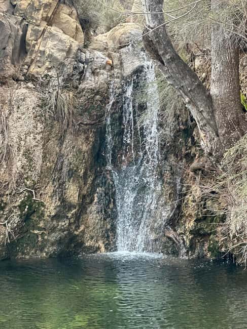 Las Vegas: Family Friendly Guided Hike to Emerald Falls - Discovering Emerald Falls: An Authentic Desert Experience