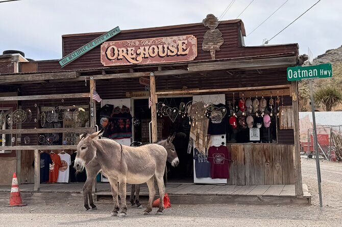 Las Vegas Ghost Town Tour and Historic Route 66 - Why This Tour Offers Real Value