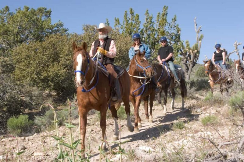 Las Vegas: Grand Canyon Helicopter & Ranch Adventure by Bus - Additional Options and Considerations