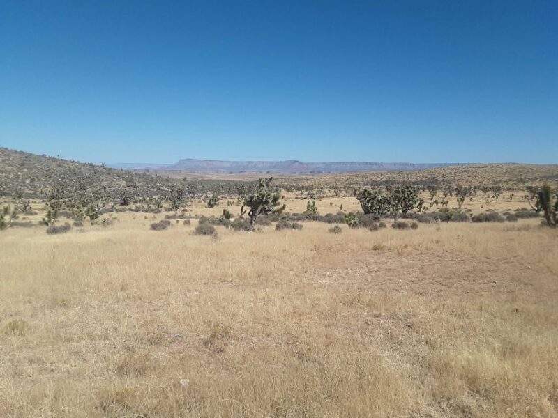 Las Vegas: Grand Canyon Helicopter West Rim Flight & Options - Practical Tips for Future Travelers