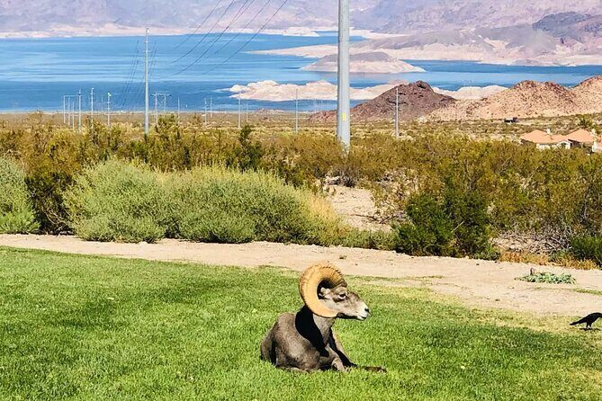 Las Vegas: Guided Kayak Tour from Willow Beach to Emerald Cave - Who Will Love This Tour?  