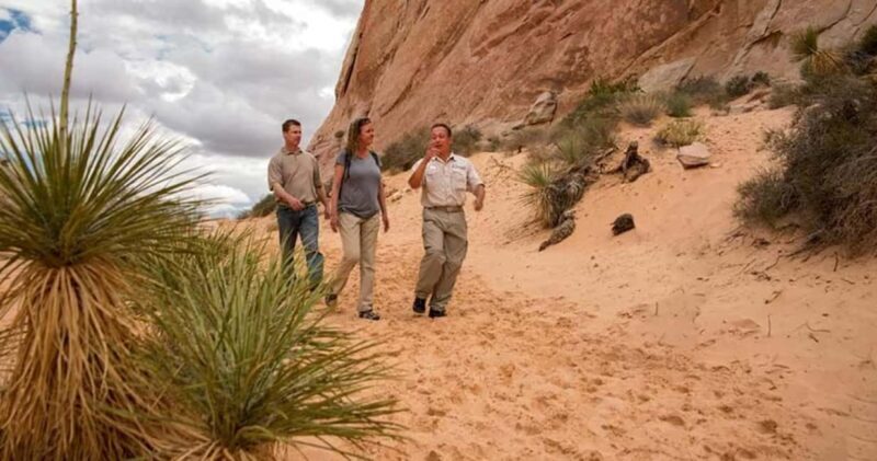 Las Vegas: Hoover Dam and Valley of Fire Combo Tour - Exploring Hoover Dam: A Marvel of Human Achievement