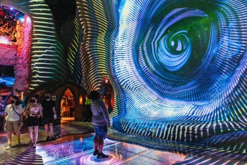 Las Vegas: Meow Wolf - Omega Mart VIP Ticket - Key Points