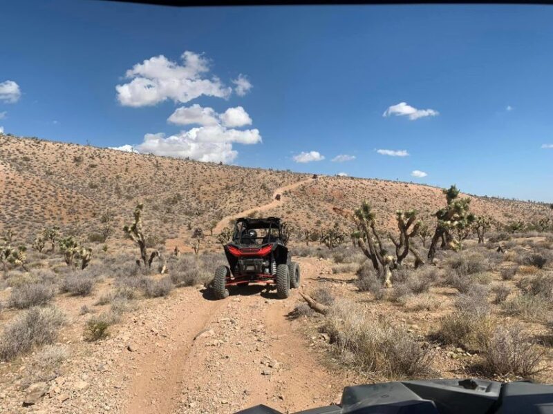 Las Vegas Mojave Off Road Adventure |Guided Tour-Let's Ride! - Who Will Love This Tour?