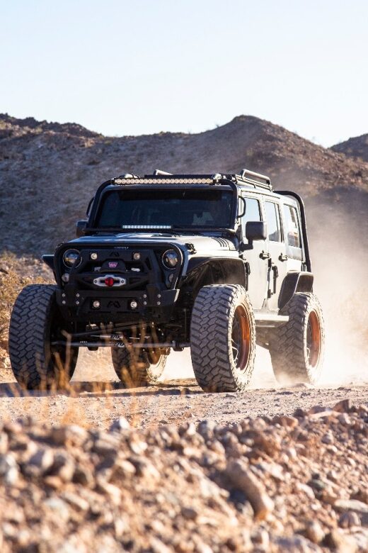 Las Vegas- Offroad Experience Wildlife, Ghost Towns and more - Who Will Love This Tour?