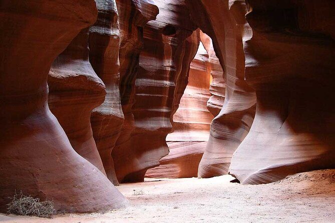 Las Vegas Private Tour: Antelope Canyon & Horseshoe Bend(6 seats) - Who Would Love This Tour?