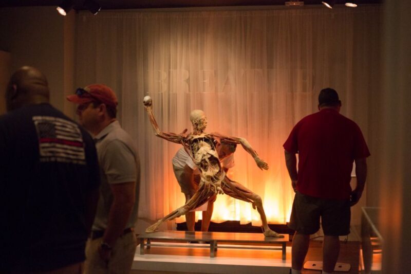 Las Vegas: REAL BODIES at Horseshoe Las Vegas Entry Ticket - Real Experiences and Honest Feedback