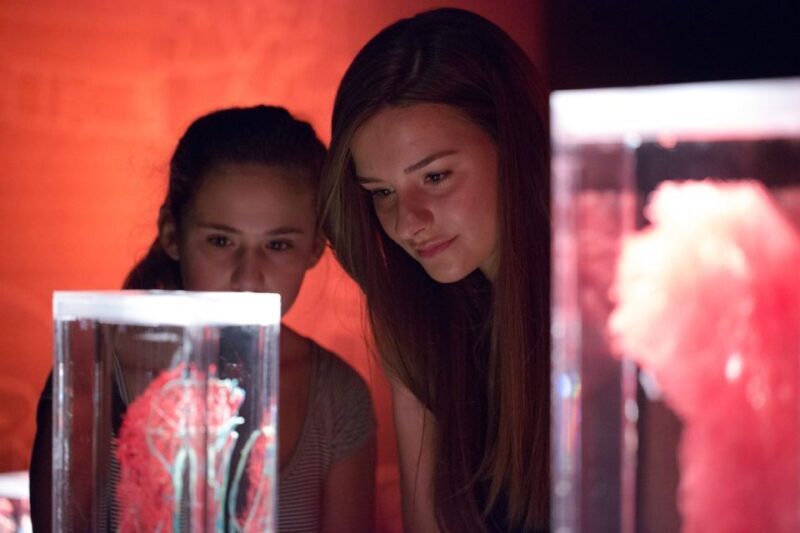 Las Vegas: REAL BODIES at Horseshoe Las Vegas Entry Ticket - Final Thoughts: Who Should Visit?