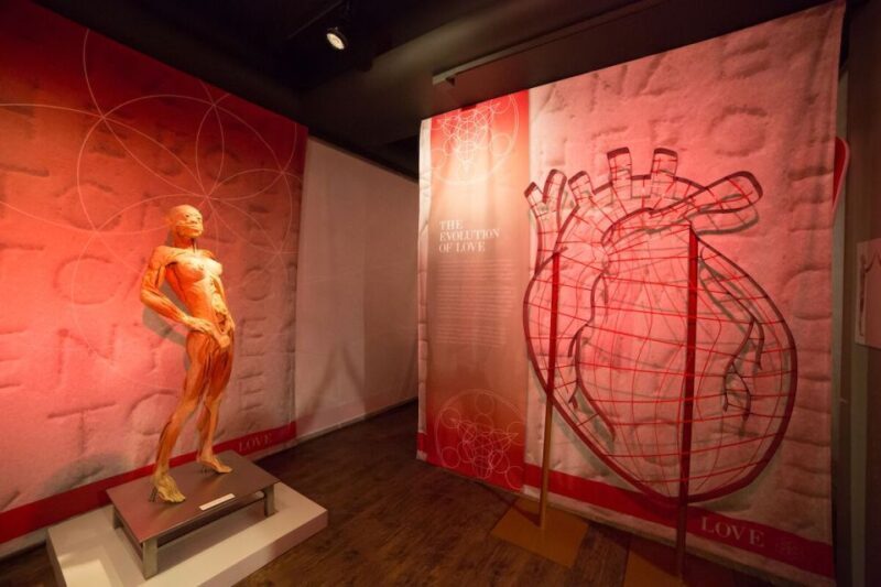 Las Vegas: REAL BODIES at Horseshoe Las Vegas Entry Ticket - FAQs