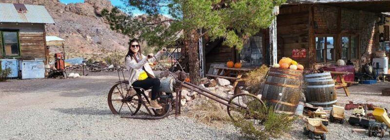 Las Vegas: Ultimate Adventure RZR Tour with Lunch - Who Would Love This Tour?